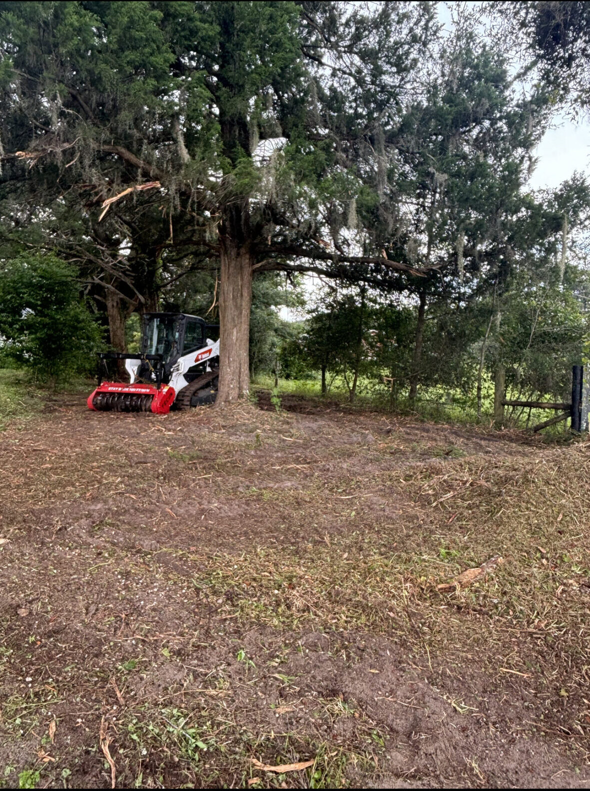 Tree Removal Spring Hill, FL | Safe & Affordable | Norton Landscape